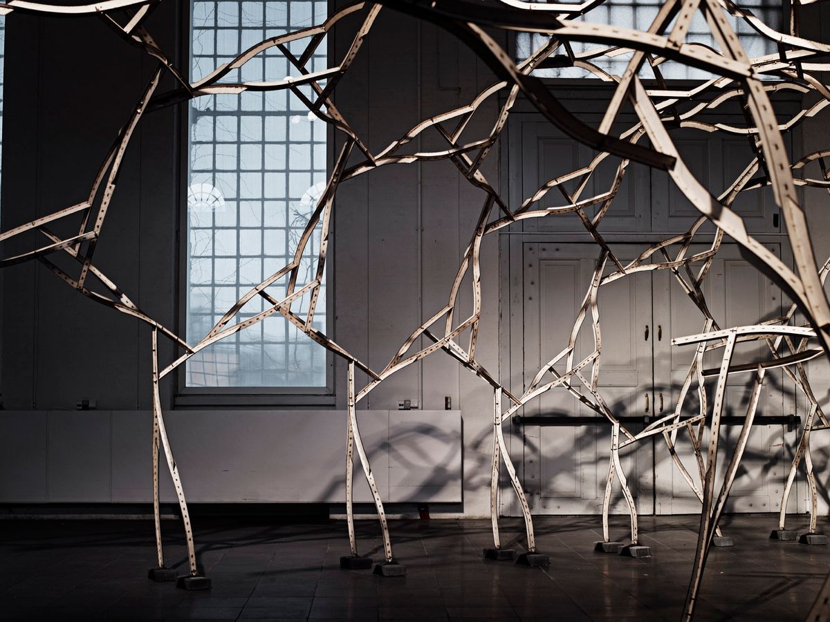 Dermoid – Daniel Davis