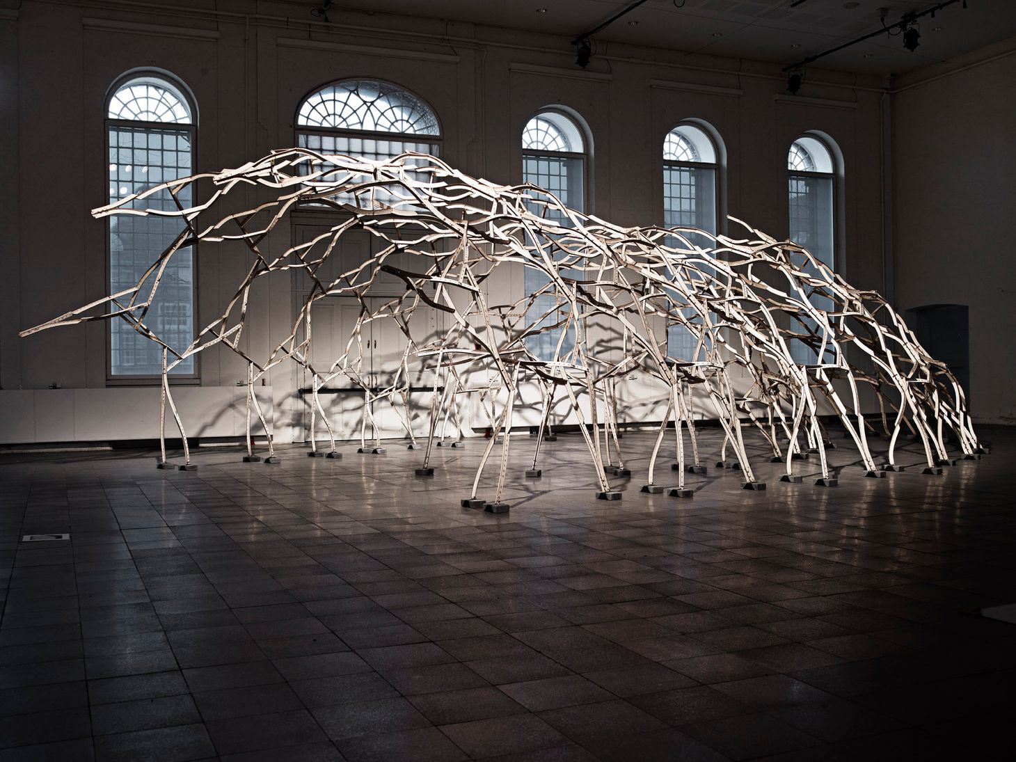 Dermoid – Daniel Davis