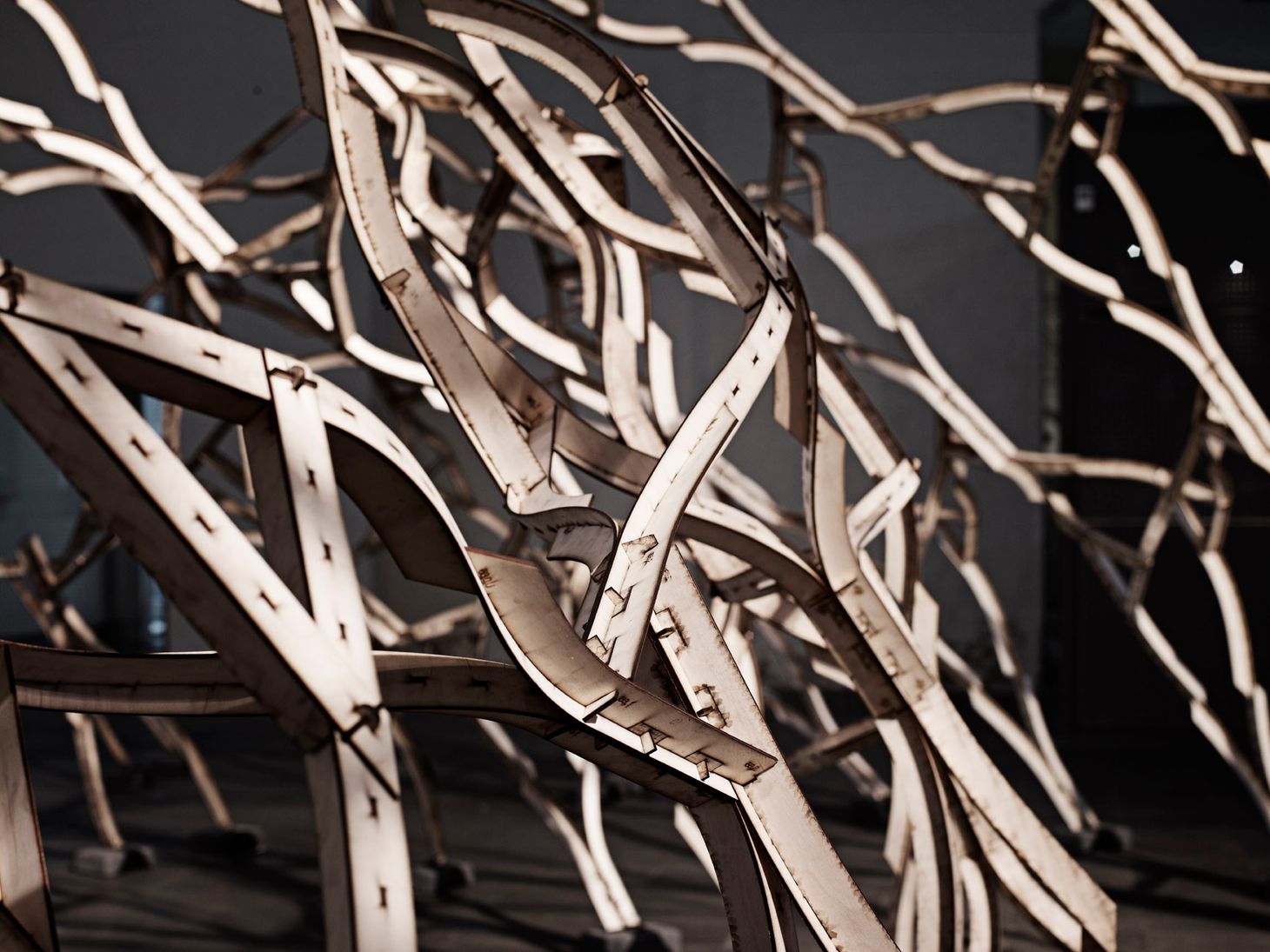 Dermoid – Daniel Davis